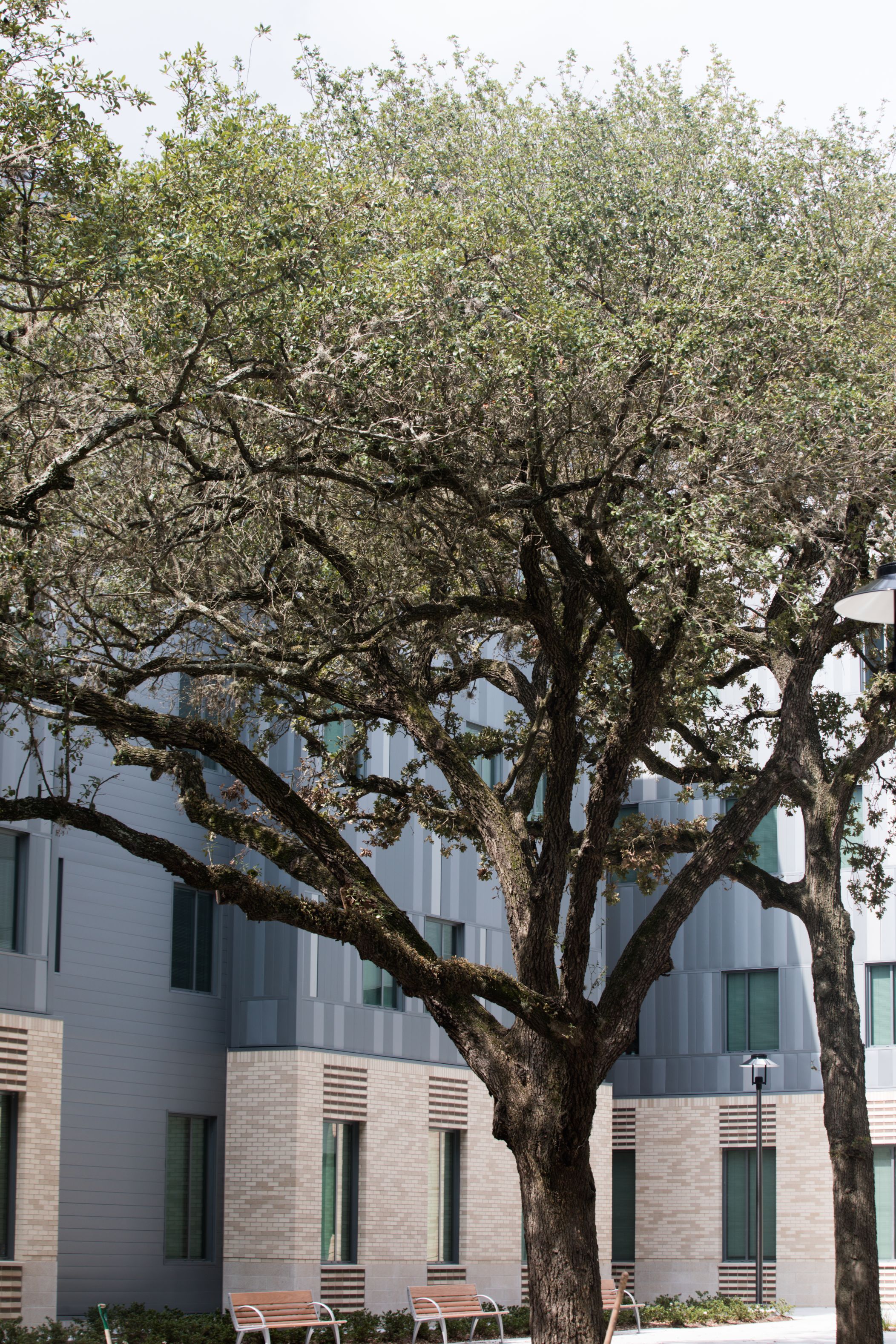 THE QUAD COMES FULL CIRCLE